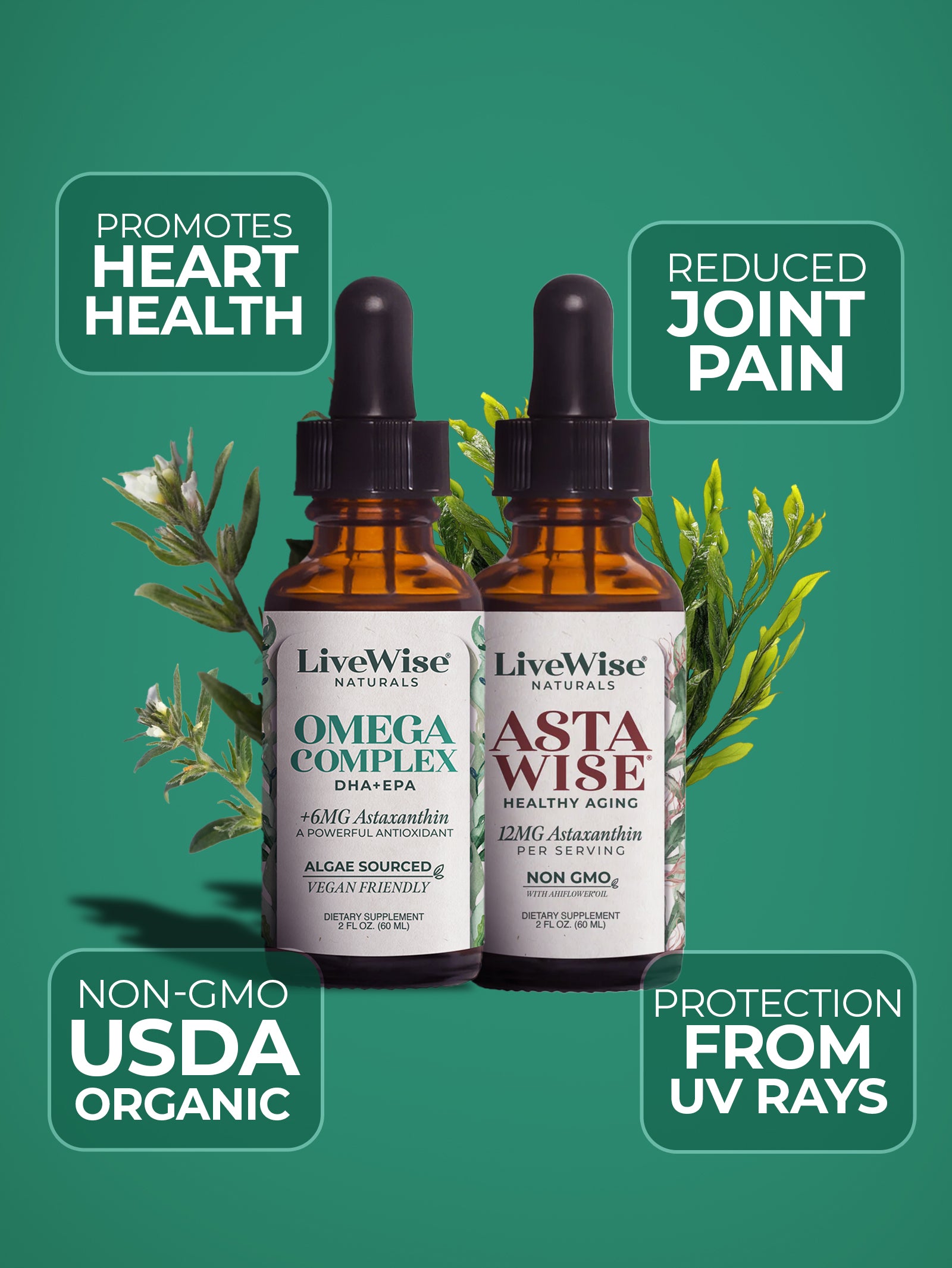 Complete Omega Duo – Omega Complex & Astaxanthin for Bone, Heart & Ant ...